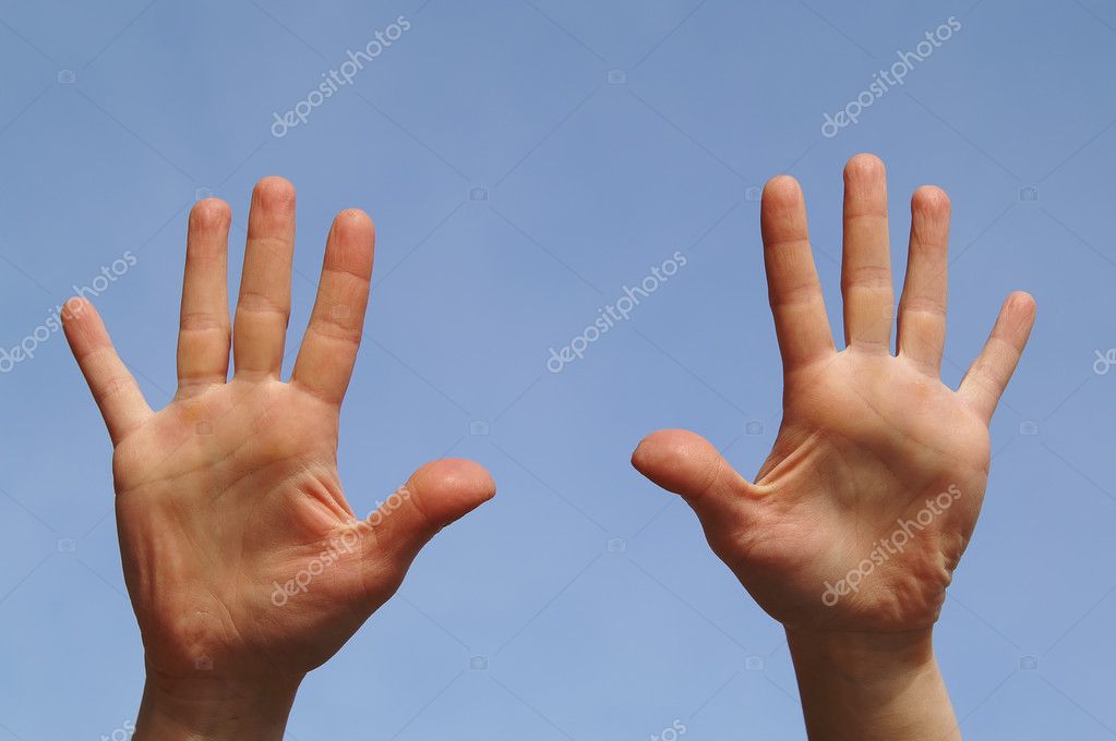 Two open palms — Stock Photo © loskutnikov #1205453 Two open palms — Stock Photo © loskutnikov #1205453
