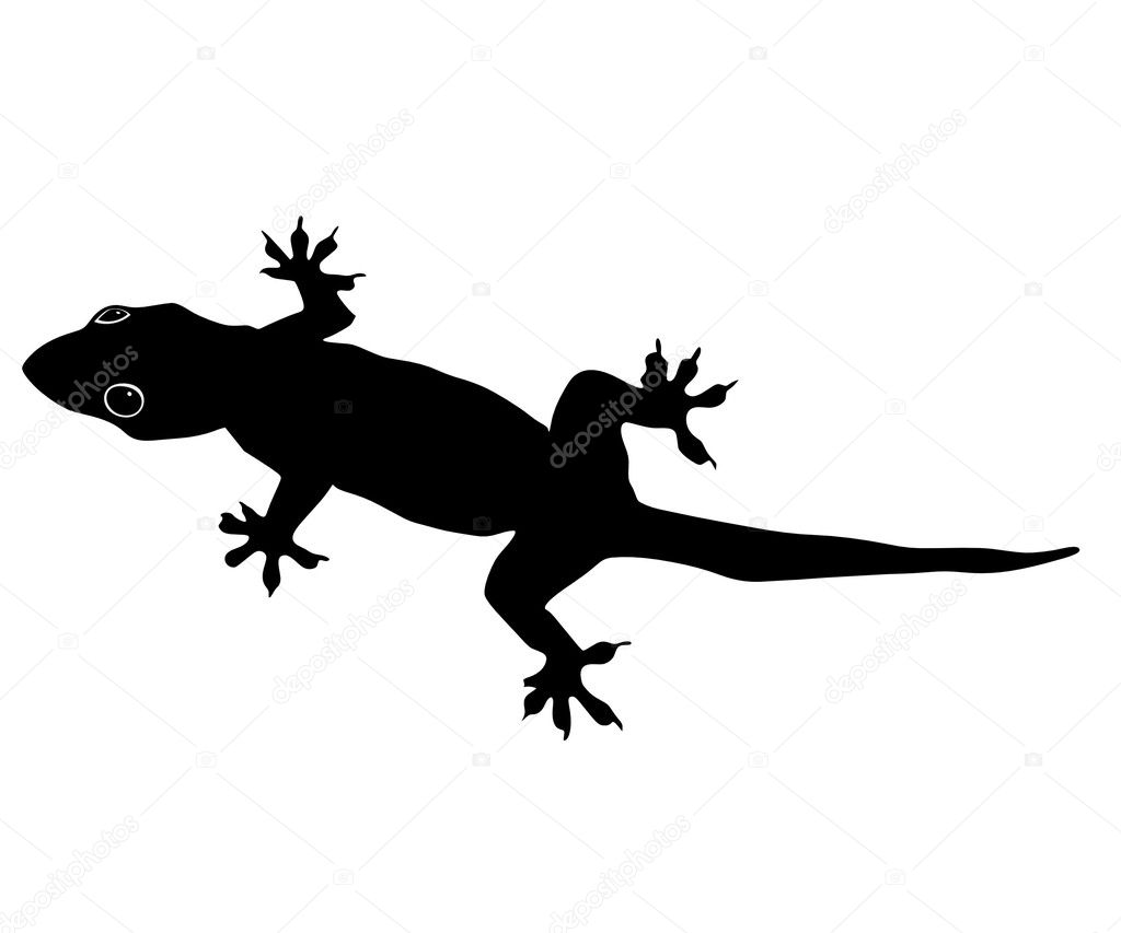 Gecko — Stock Vector © Perysty #1338356 Gecko — Stock Vector © Perysty #1338356