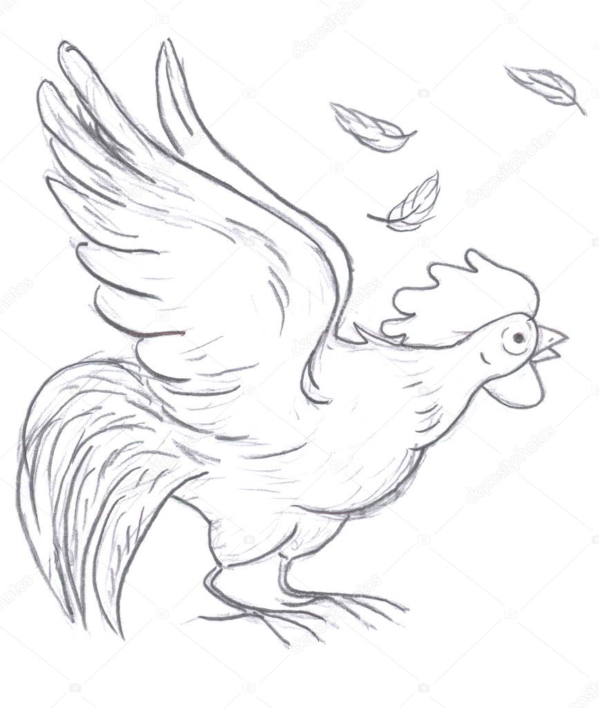 Rooster sketch — Stock Photo © nadyaus #1656083 Rooster sketch — Stock Photo © nadyaus #1656083