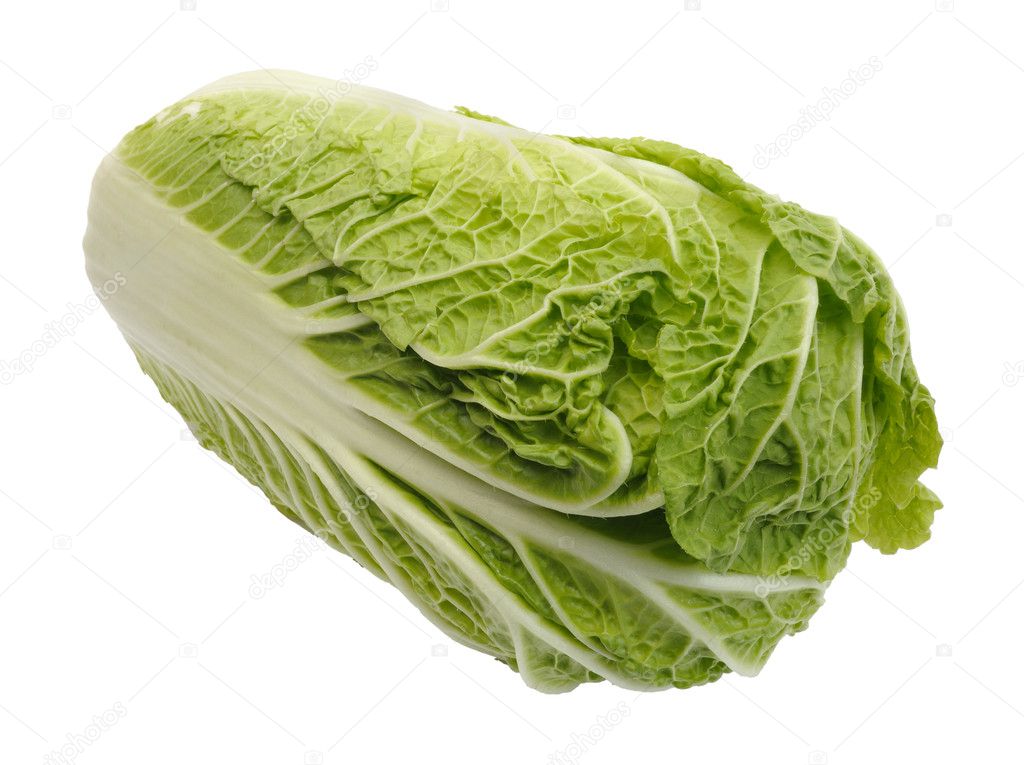 Beijing cabbage, isolated Stock Photo by ©vblinov 1213507