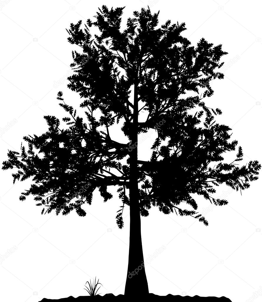 Stock Vector Image by ©boroda #1010215