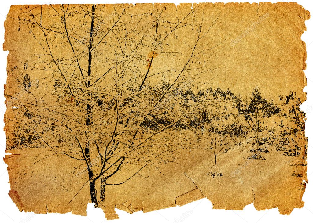 Old turned yellow pap — Stock Photo © OlgaDrozd #1070906