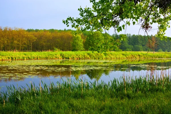 June landscape Stock Photos, Royalty Free June landscape Images ...