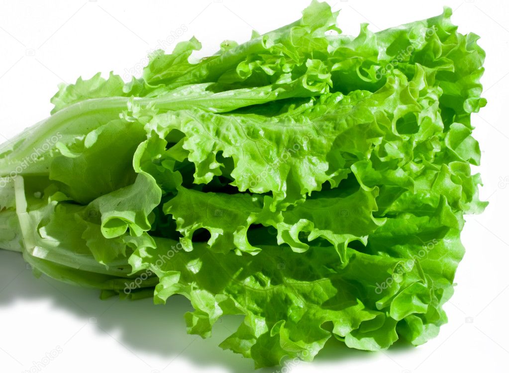 Lechuga — Foto de stock © sailorr #1015056