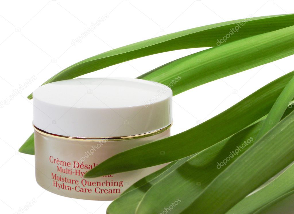 Cosmetic cream — Stock Photo © Observer #1015577
