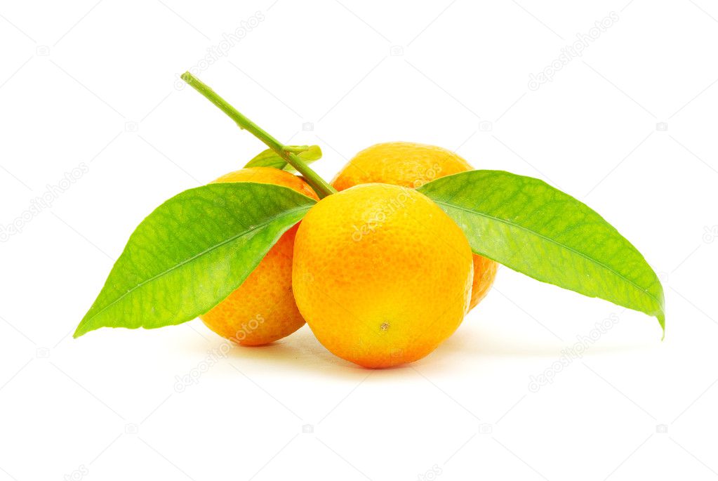 Mandarin — Stock Photo © Pakhnyushchyy #2119914