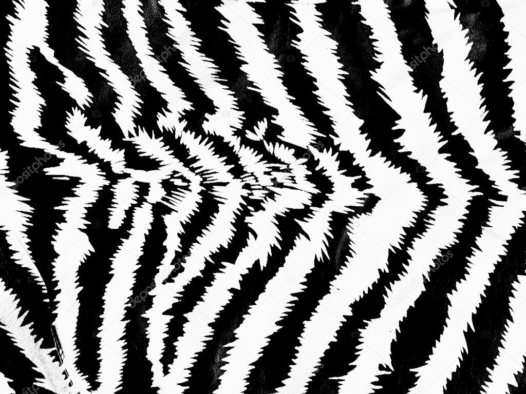 Zebra pattern — Stock Photo © AGphoto #1720120