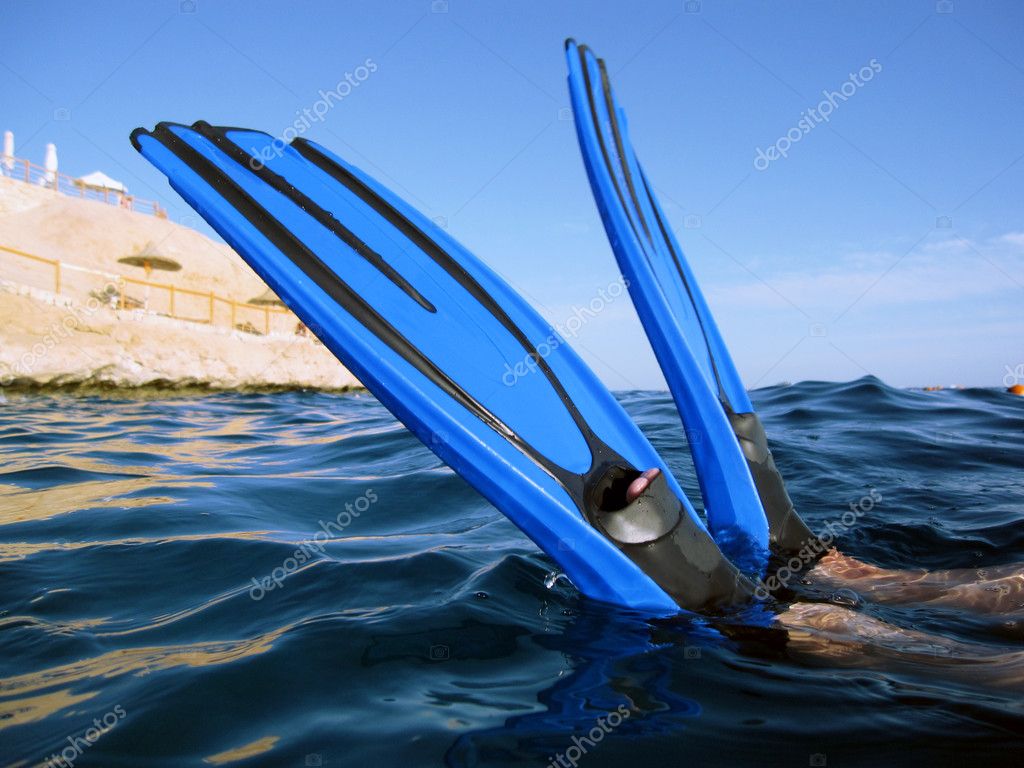 Flippers — Stock Photo © alexalexl #1370100