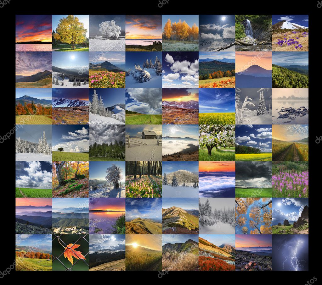 Collection of photos — Stock Photo © leonid_tit #1021929