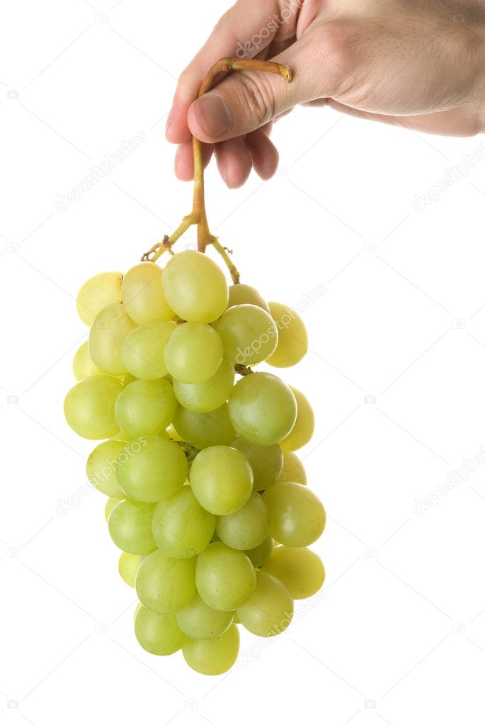 Grape Stock Photo by ©spaxiax 1626547