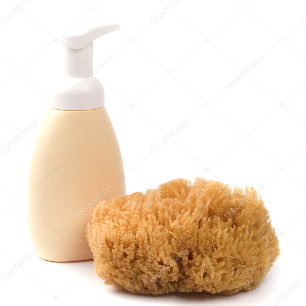 Sponge and shower gel Stock Photo by ©marylooo 1040264