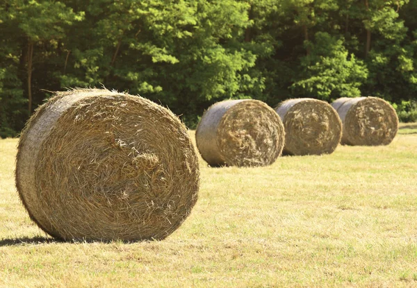 Round hay bale Stock Photos, Royalty Free Round hay bale Images ...
