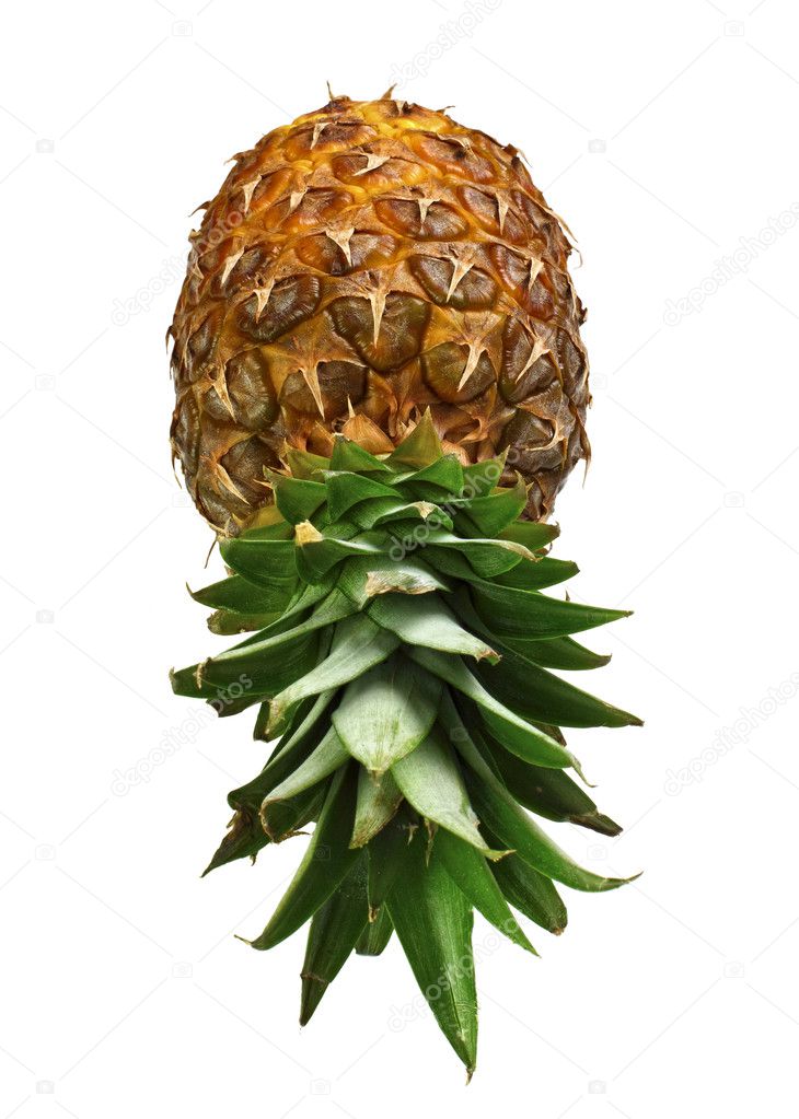 Pineapple background — Stock Photo © jukai5 #2505011