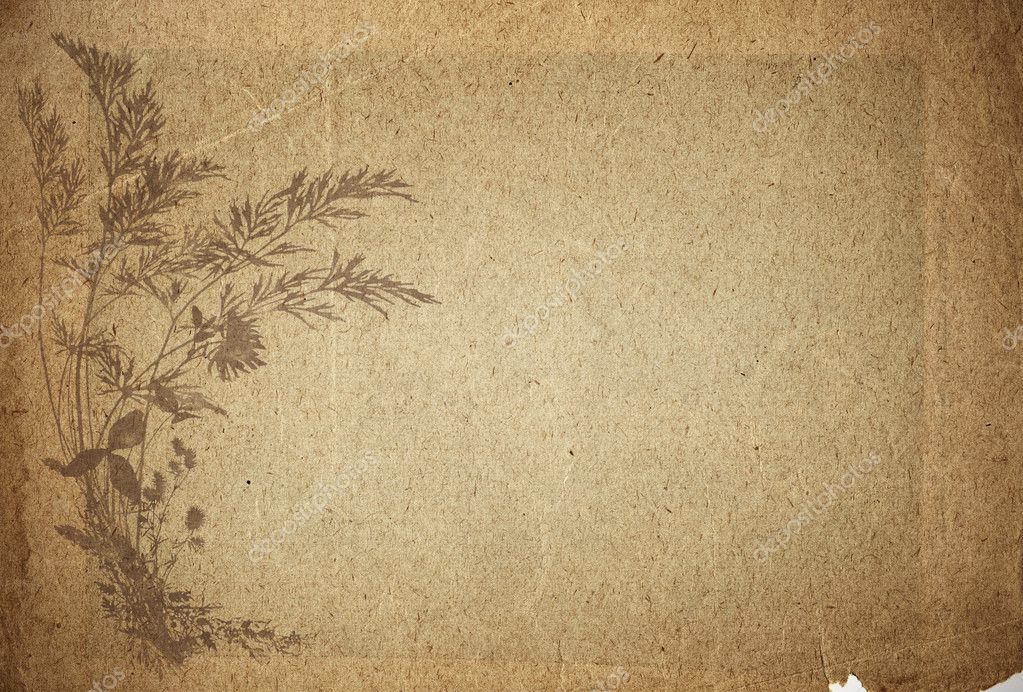 Old parchment paper — Stock Photo © clearviewstock #1197311