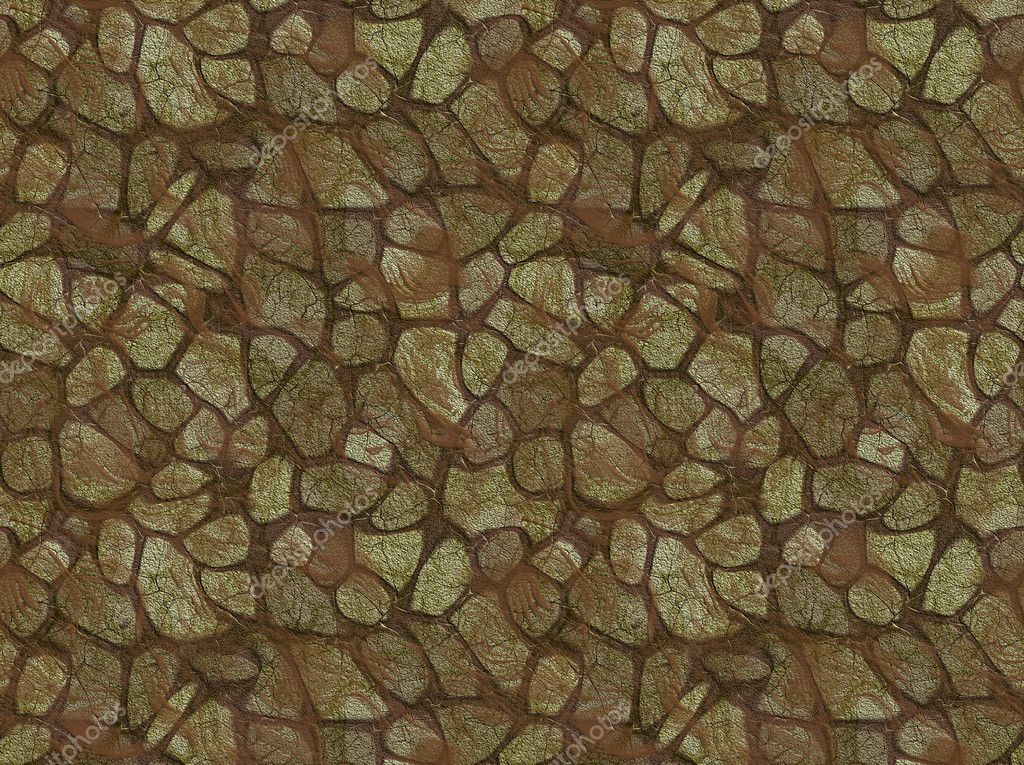 Stone pavers Stock Photo by ©clearviewstock 1214580