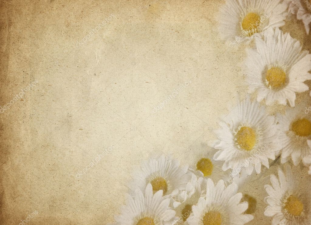 Flower parchment — Stock Photo © clearviewstock #1244834