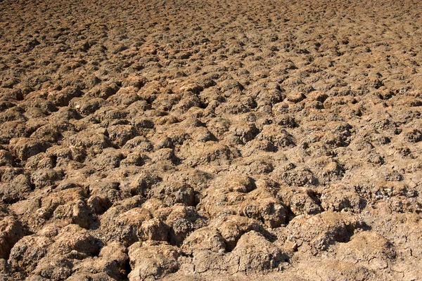 Dry lake bed Stock Photos, Royalty Free Dry lake bed Images | Depositphotos