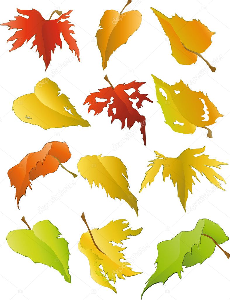 Autumn Leaves Stock Vector By ©liusaart 2283662
