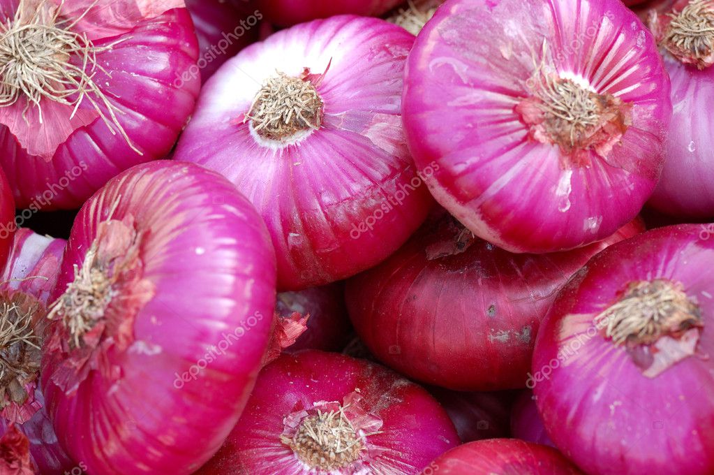 Onion Stock Photo by ©getman 1136737