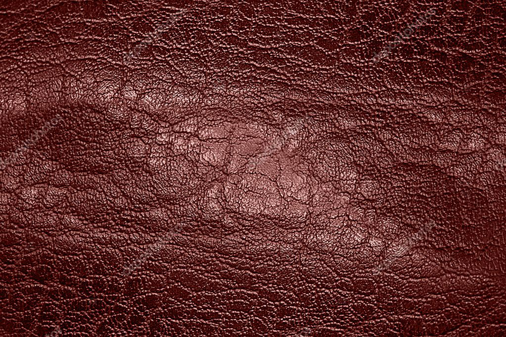 Texture pelle marrone — Foto Stock © namsilat #1160022
