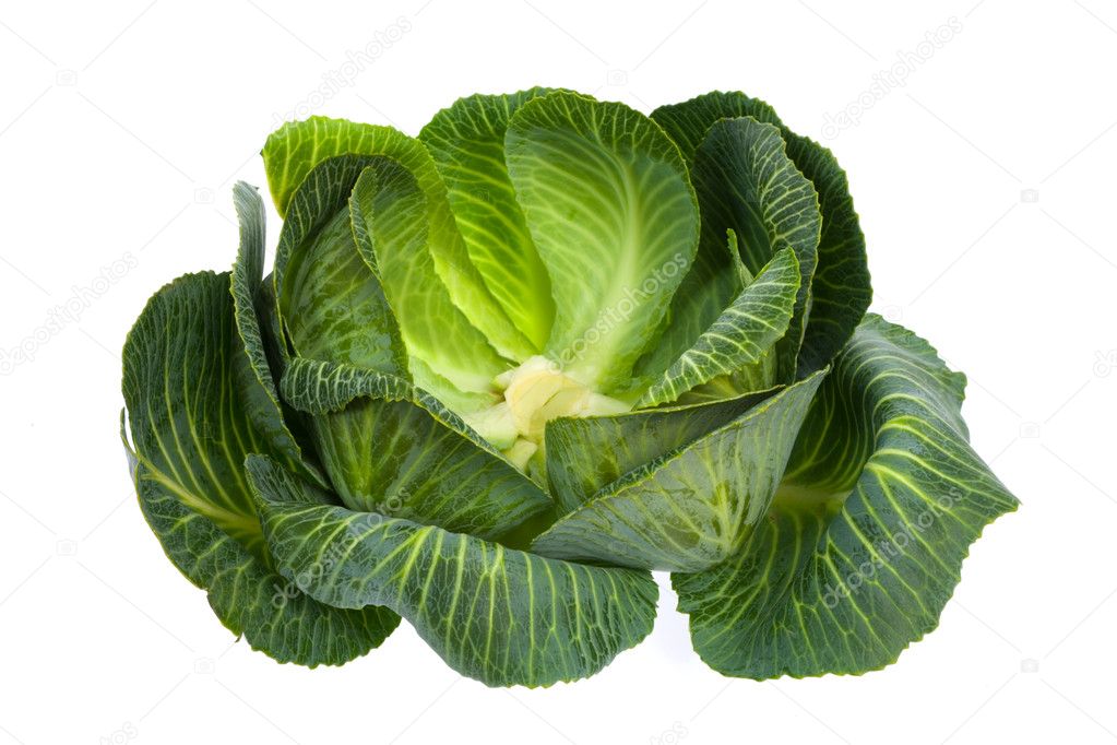 Cabbage isolated on white Stock Photo by ©izi1947 1461525