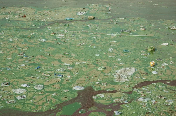 Kroos Stock Photos, Royalty Free Kroos Images | Depositphotos