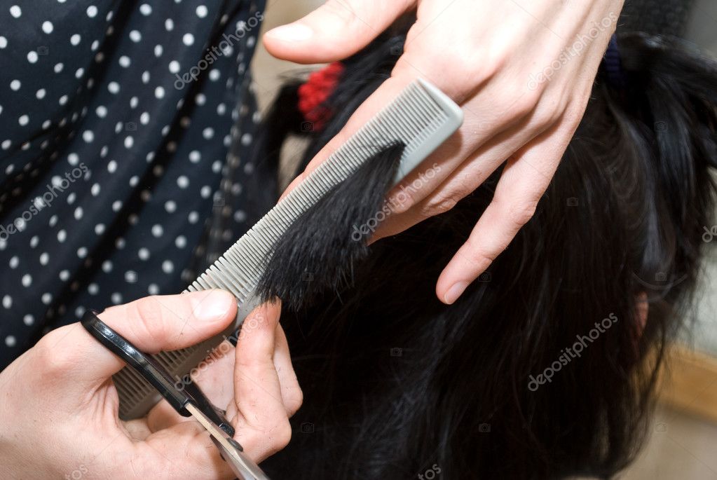 Cutting hair close-up — Stock Photo © Djemphoto #1139004