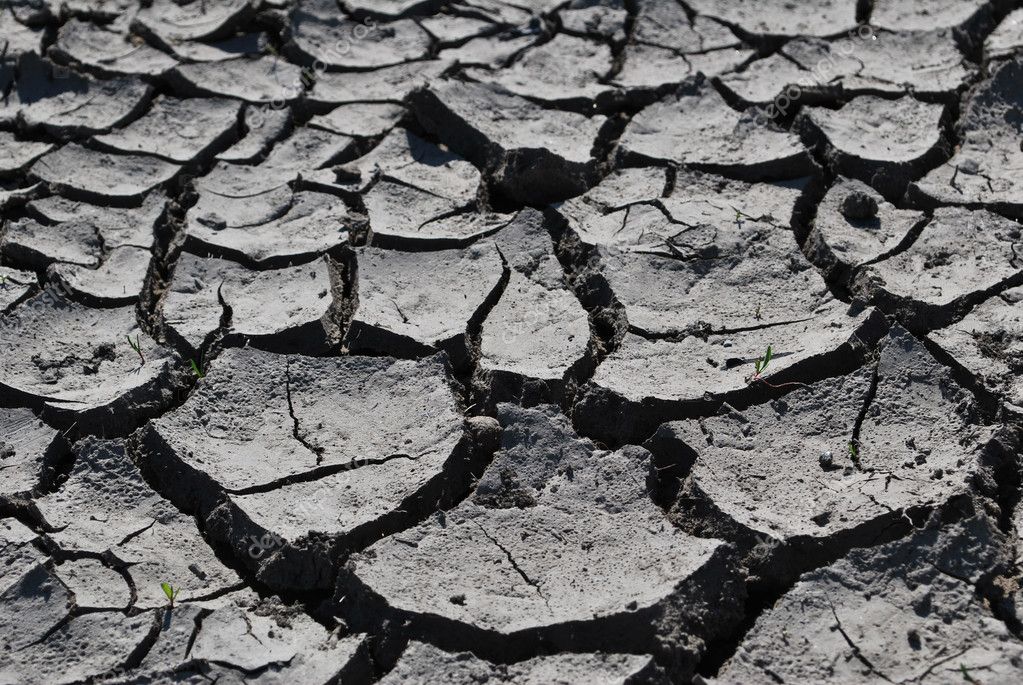 Cracked mud texture — Stock Photo © Djemphoto #1139167 Cracked mud texture — Stock Photo © Djemphoto #1139167