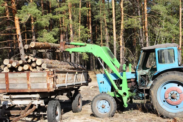 Loading logs of trees in the forest — Stock Photo © Aptyp_koK #2616612