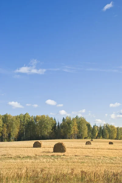 Finland agriculture Stock Photos, Royalty Free Finland agriculture ...