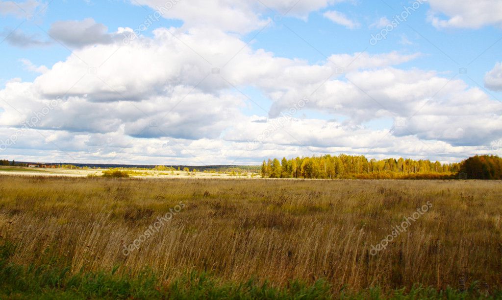 Cloudy field — Stock Photo © AndreySt #2694270