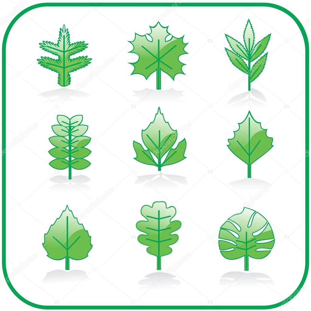 Set of leaves. Vector — Stock Vector © ishmel #1378549 Set of leaves. Vector — Stock Vector © ishmel #1378549
