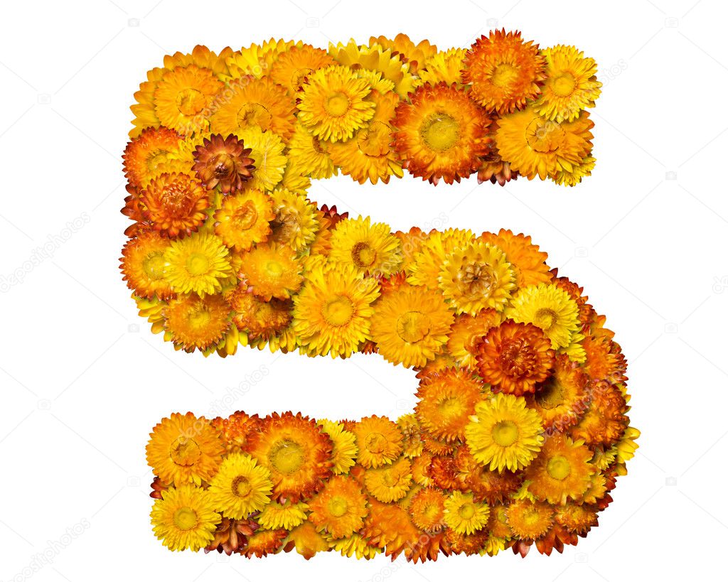 Number from yellow and orange flowers — Stock Photo © kirs-ua #1596353