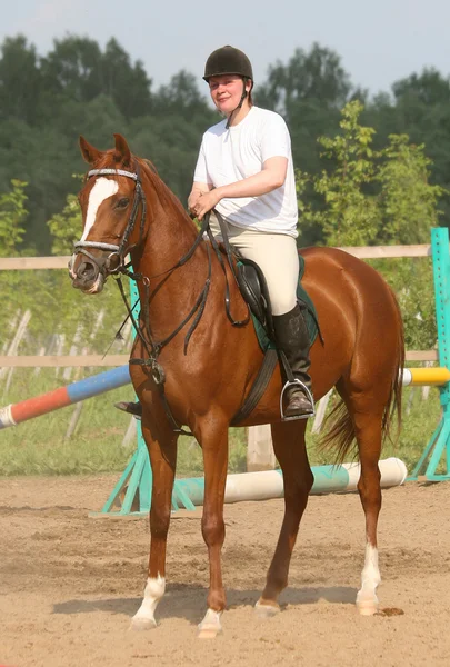 Show jumping - Stock Image - Everypixel