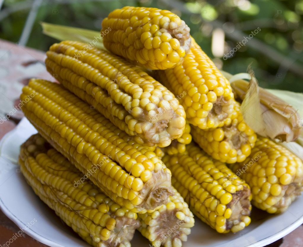 Boiled corn Stock Photo by ©kharhan 1303586
