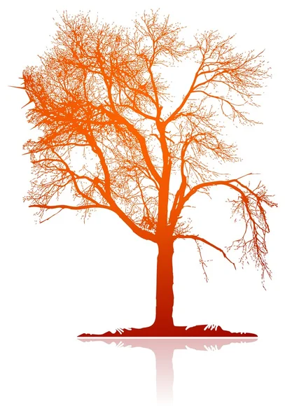 25,830,228 Detailed tree Vector Images | Depositphotos
