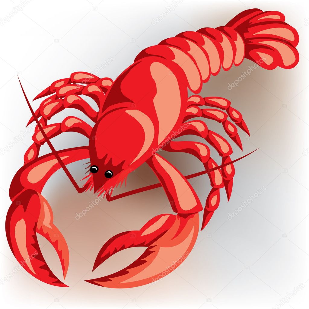 Czerwony rak — Grafika wektorowa © print2d #1188589