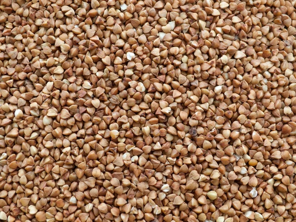 Buckwheat seeds — Stock Photo © aarrows #3876784