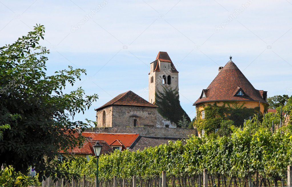 Medieval abbey among vineyards Stock Photo by ©slavapolo 2058315