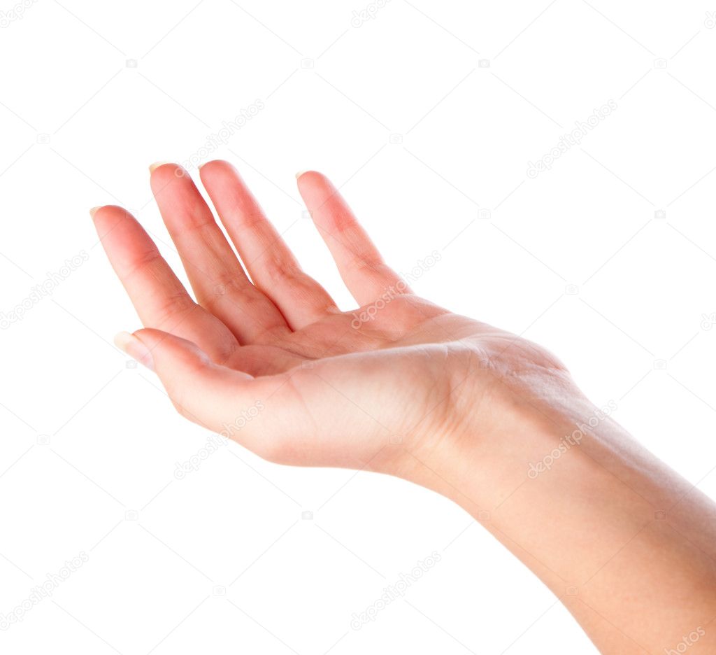 Open hand — Stock Photo © natulrich #1288208