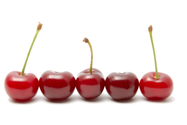 Cherry — Stock Photo © denisds #1214895