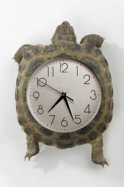 Apple of Time. Series — Stock Photo © Designus #1523693