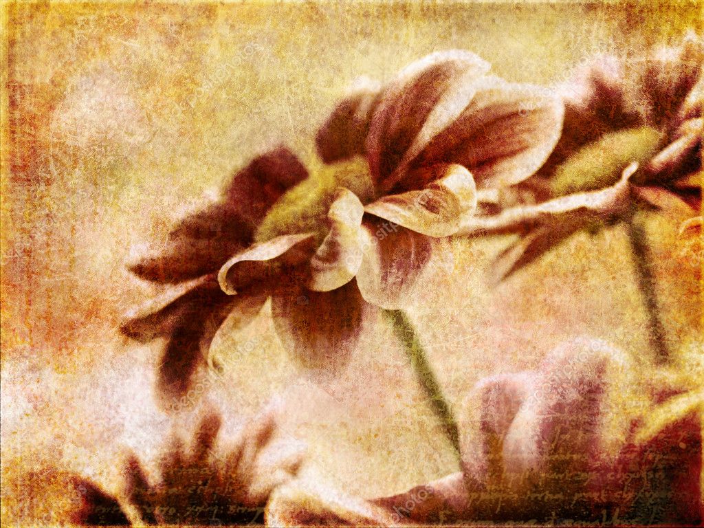 Vintage flowers — Stock Photo © nikascorpionka #1204297