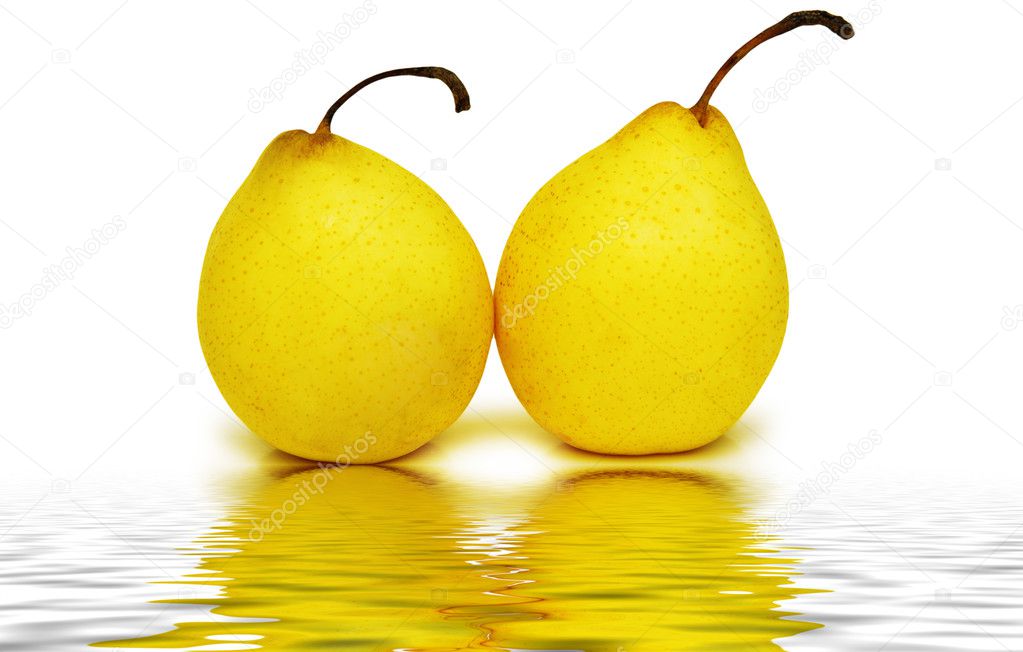 Dos peras amarillas aisladas 2023