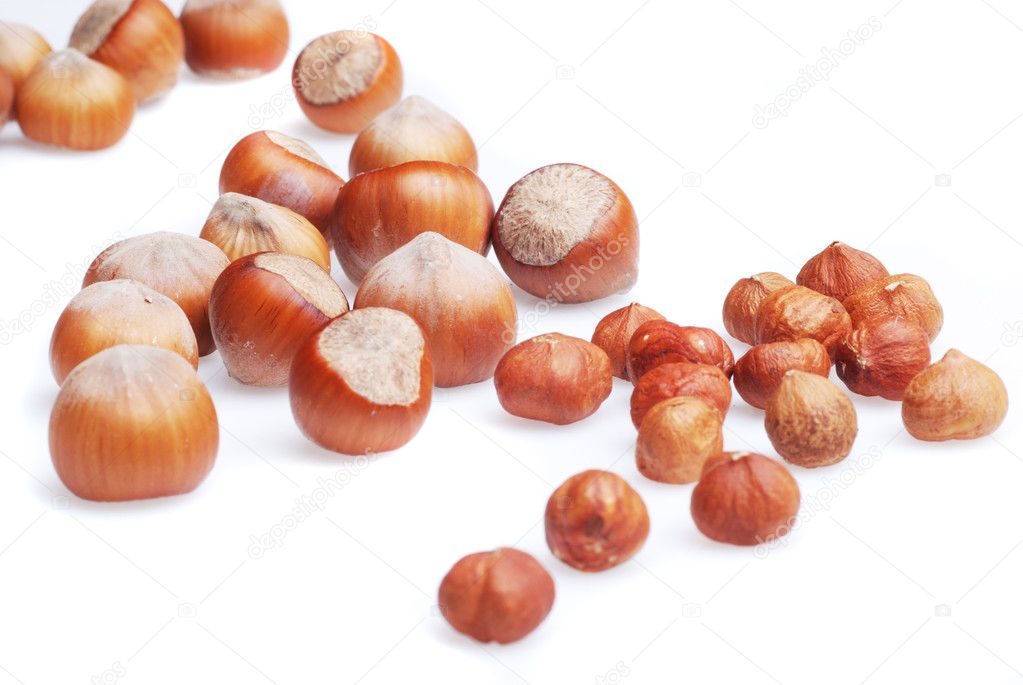 Nutshell Stock Photo by ©FineShine 1469795