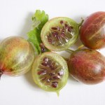 Gooseberry — Stock Photo © sergioz #2164141