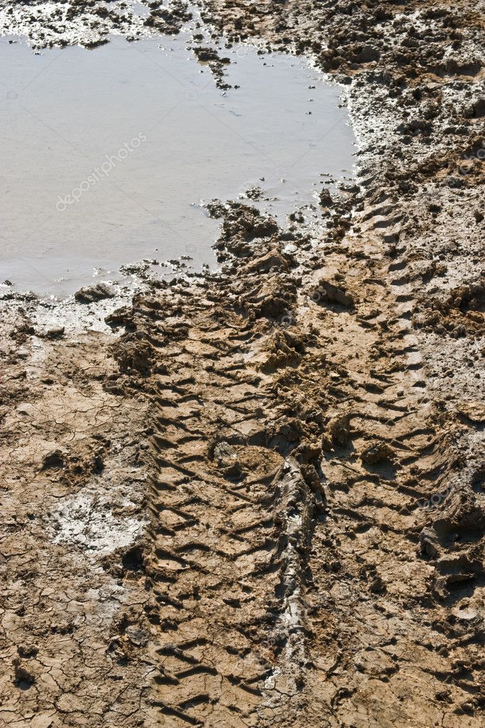 Puddle — Stock Photo © spotty #1291619