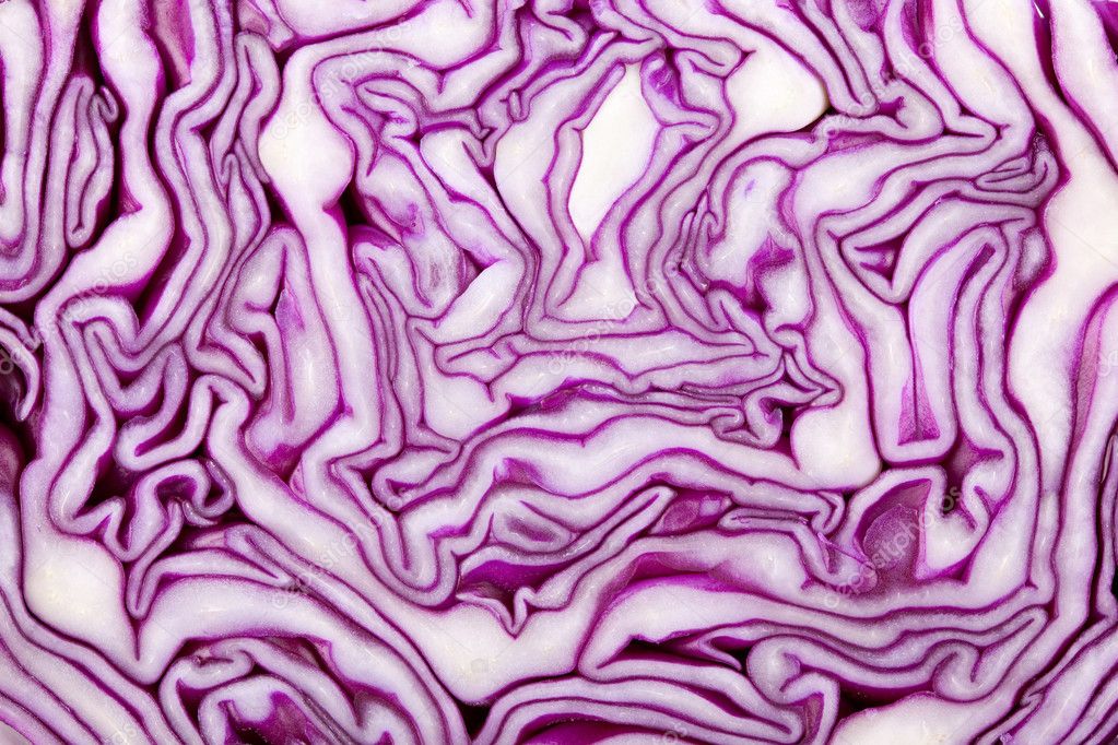 Red Cabbage macro Stock Photo by ©karandaev 1570656