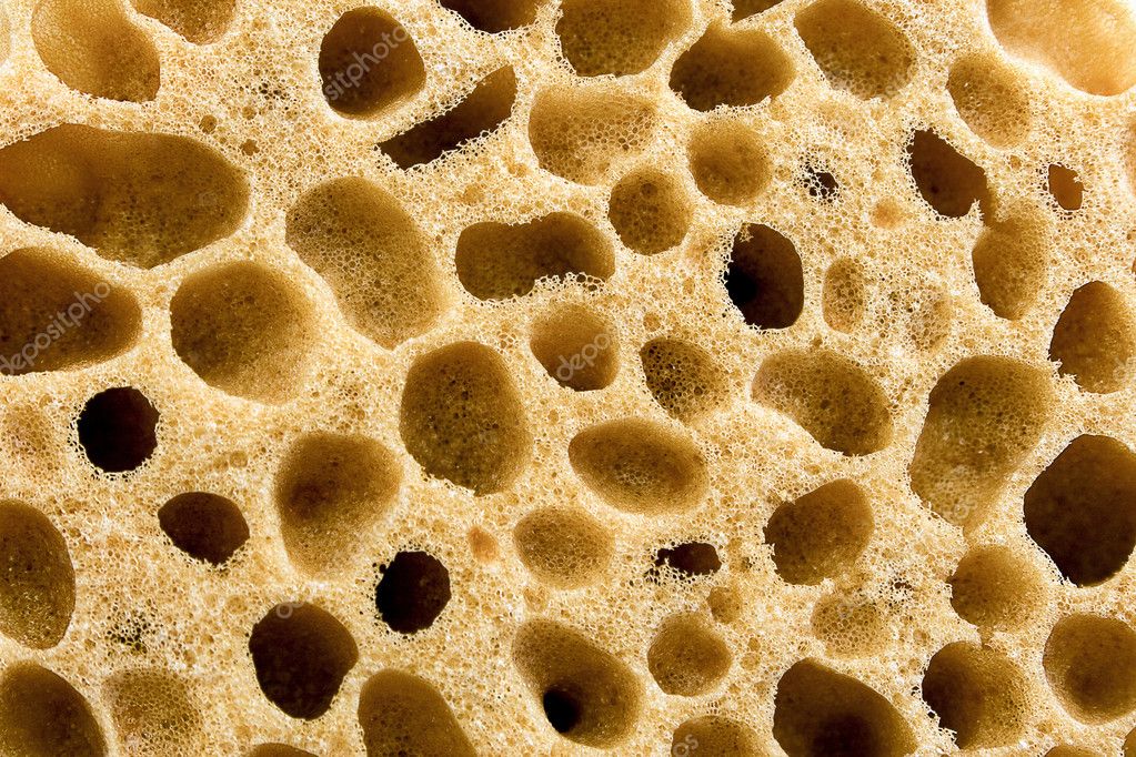 Sponge texture — Stock Photo © Zodchiy #1253187