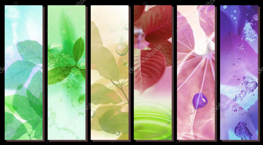 Vertical natural collage — Stock Photo © Winter80 #1421711